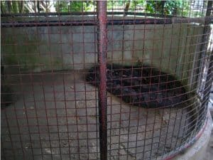 Prony the Python: Alburquerque, Bohol, Philippines | The Poor Traveler ...