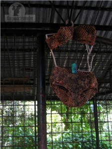 Prony the Python: Alburquerque, Bohol, Philippines | The Poor Traveler ...