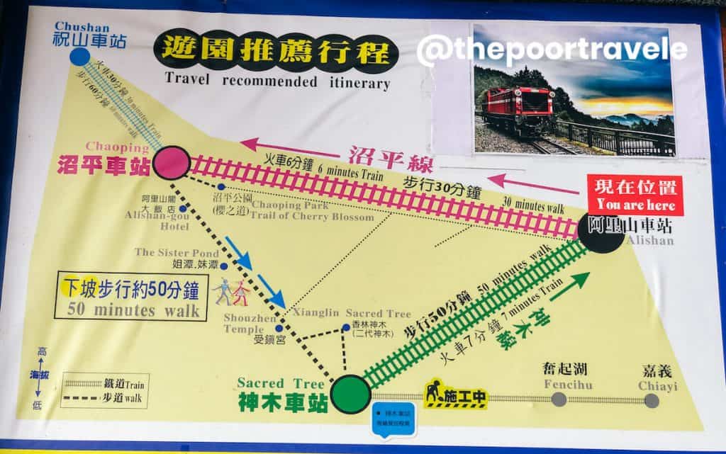 ALISHAN, TAIWAN: GUIDA TURISTICA con itinerario campione e budget / The Poor Traveler Itinerary ...