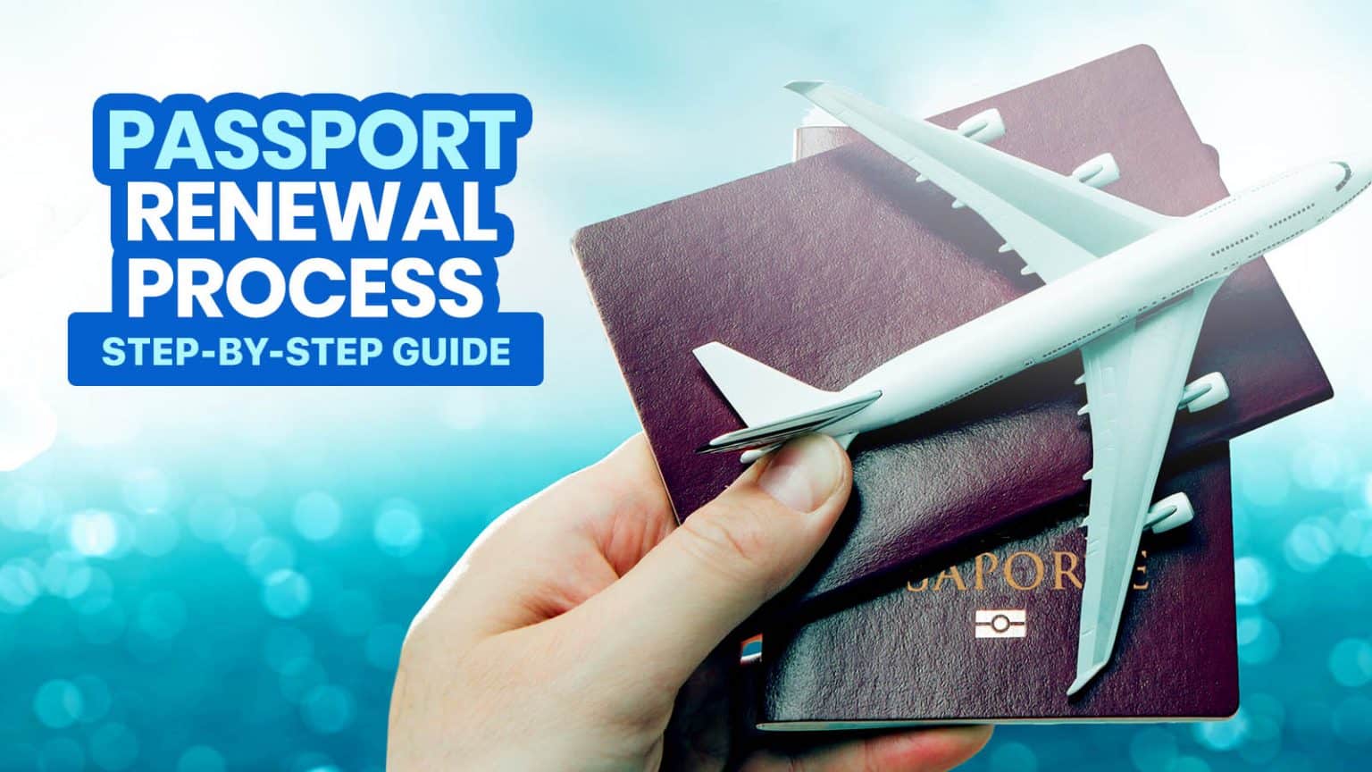 PASSPORT RENEWAL REQUIREMENTS DFA Appointment Process The Poor PASSPORT RENEWAL REQUIREMENTS DFA Appointment Process The Poor