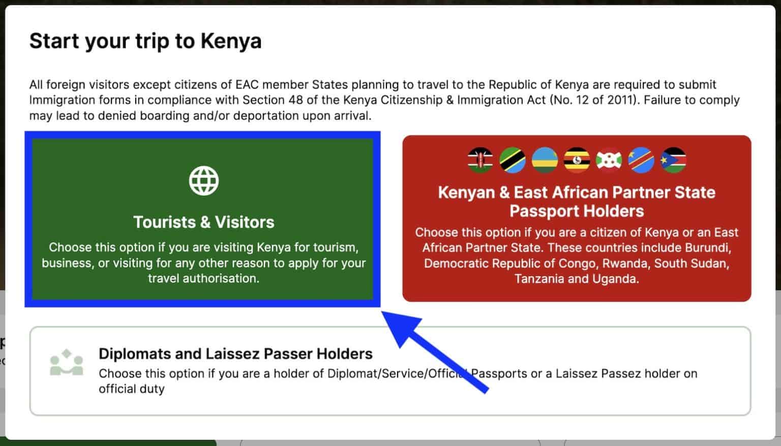 How to Apply for KENYA eVISA or ETA Online • Requirements + Process for Filipino Tourists | The ...